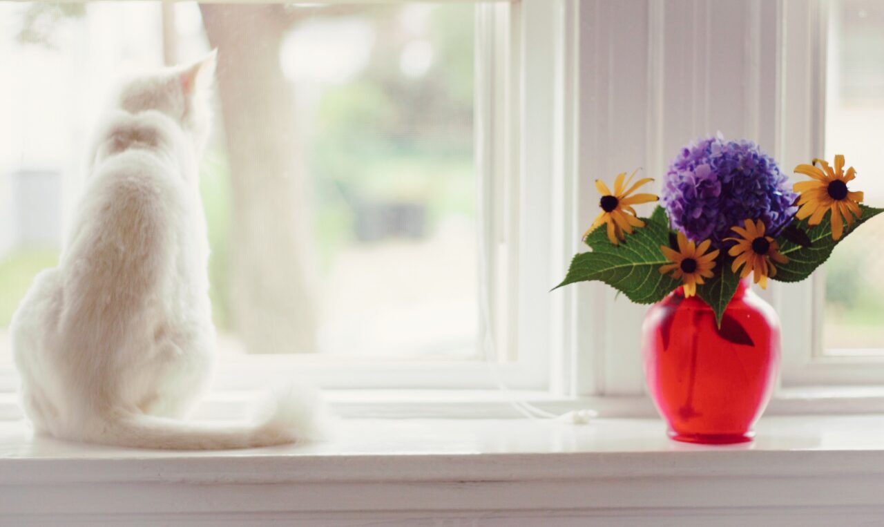 New Windows - New Doors | Woodridge, IL | Rusco Windows & Doors